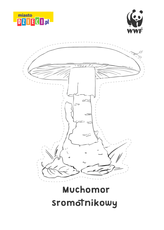 Kolorowanka do druku - muchomor sromotnikowy w serwisie MiastoDzieci.pl