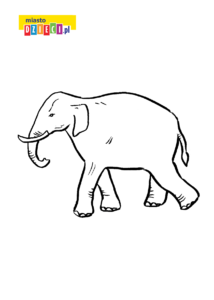 Kolorowanka - Słoń